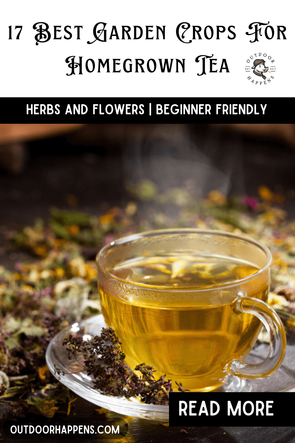 17 Best Garden Crops For Homegrown Tea | Herbs And Flowers | Beginner ...