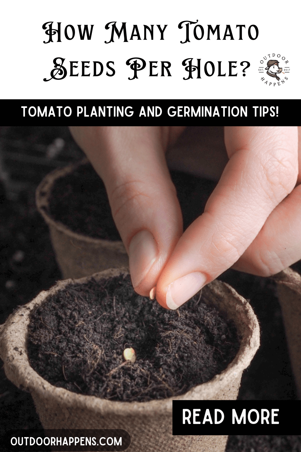 How Many Tomato Seeds Per Hole + Tomato Seed Germination Tips - Outdoor ...