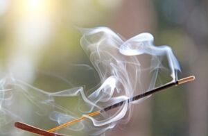 Does Incense Really, Truly, Honestly Repel Insects? You May Be ...