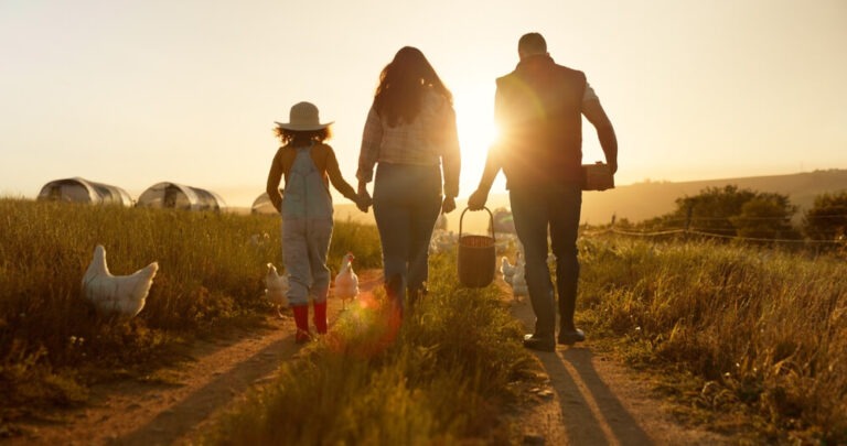 15 Things They Don't Tell You About Life On The Homestead - Outdoor ...