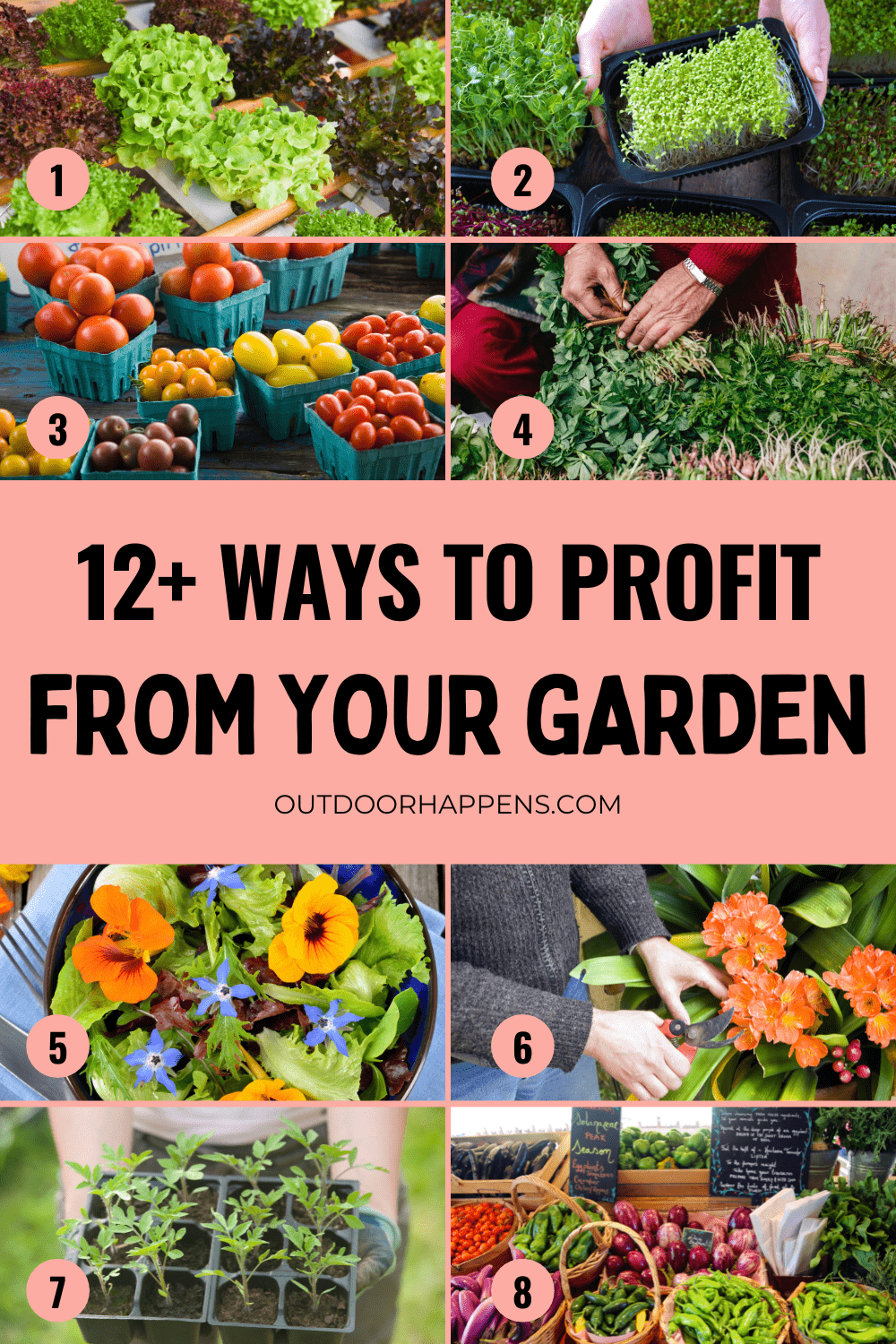 How to Make Money Gardening - 12 Ways to Profit as a Small Backyard ...