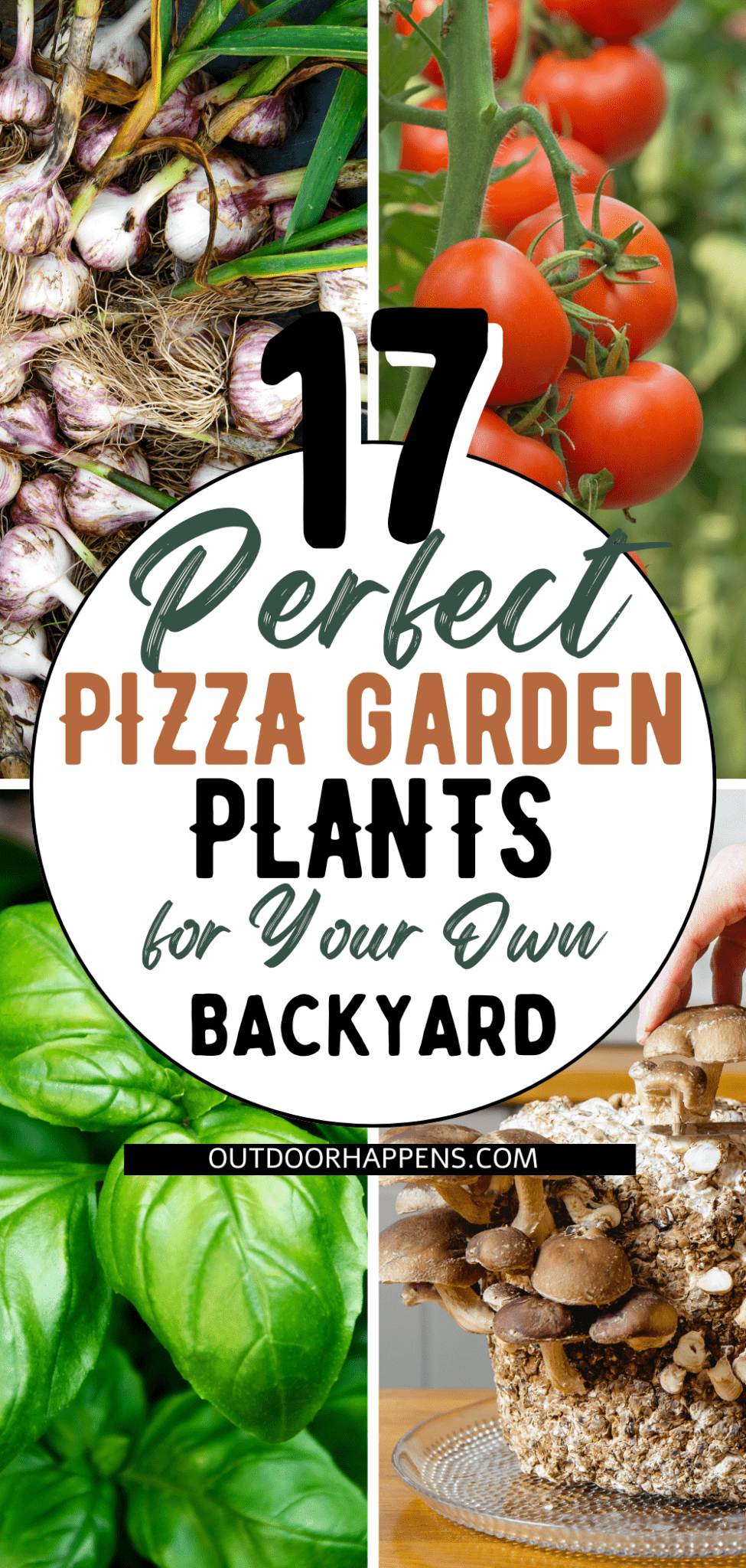 17 Must-Grow Plants For The Ultimate Backyard Pizza Garden! - Outdoor ...