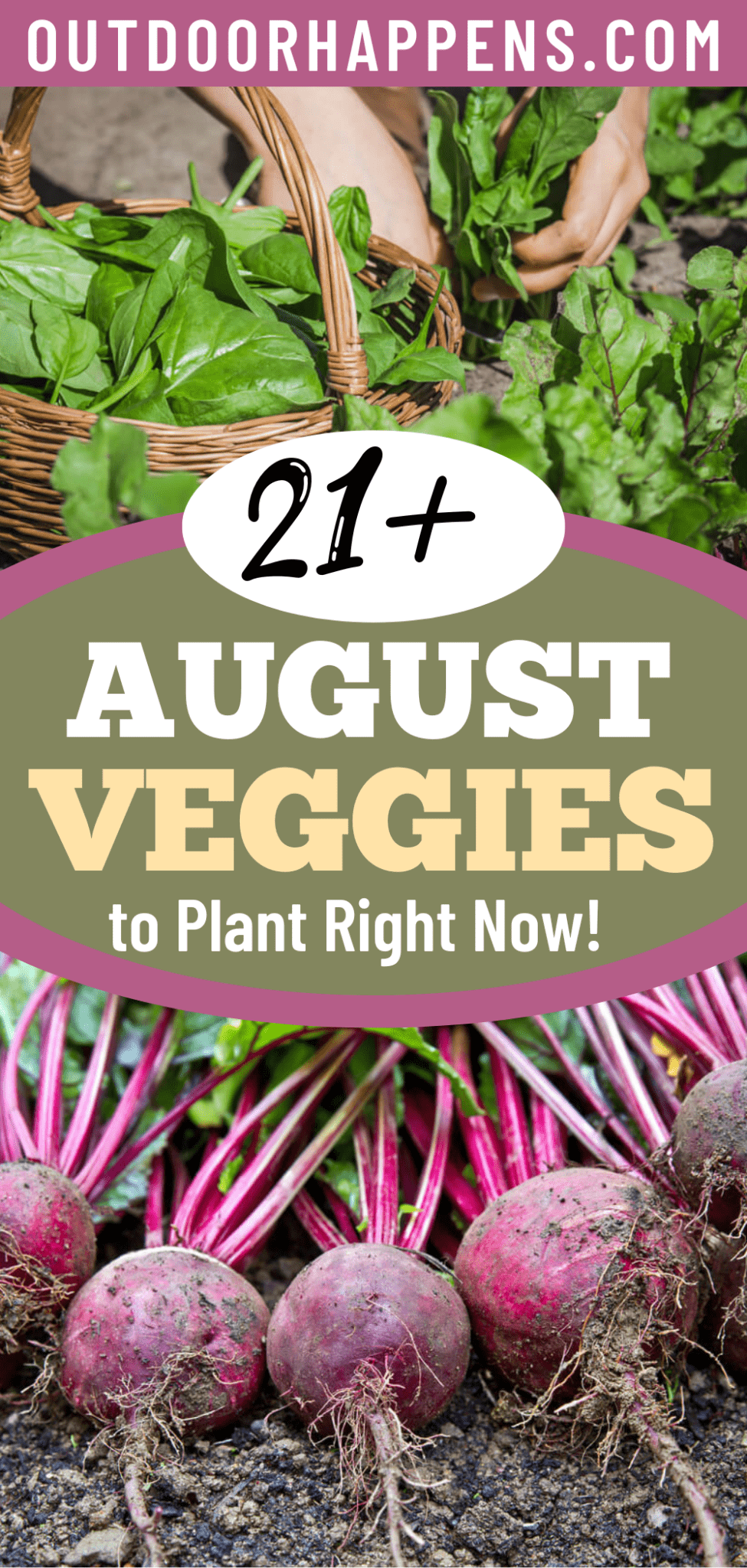 21 Best Garden Crops To Plant In August - Late-Summer Gourds, Herbs And ...