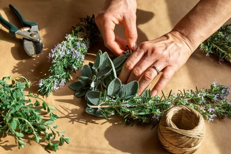 15 Essential September Homesteading Tasks - Autumn Harvests, Firewood ...