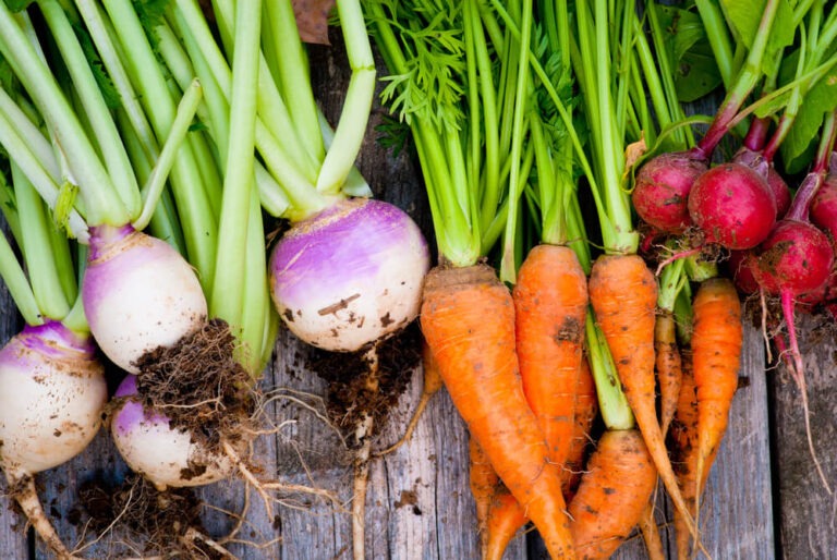 21 Best Garden Crops To Plant In August - Late-Summer Gourds, Herbs And ...
