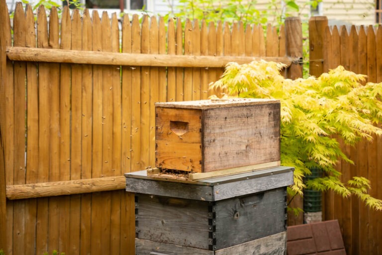 21 Fun Backyard DIY Projects For Thrifty Homesteaders On A Budget ...