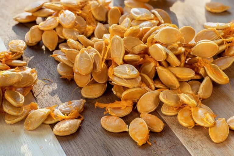17 Incredible Edible Seed Plants To Grow In Your Backyard Garden ...