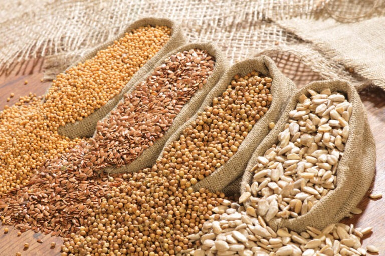 17 Incredible Edible Seed Plants To Grow In Your Backyard Garden ...