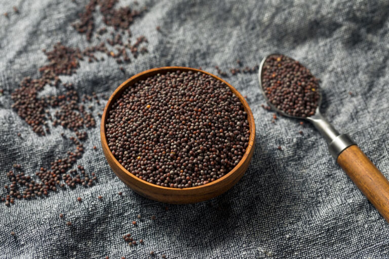 17 Incredible Edible Seed Plants To Grow In Your Backyard Garden ...