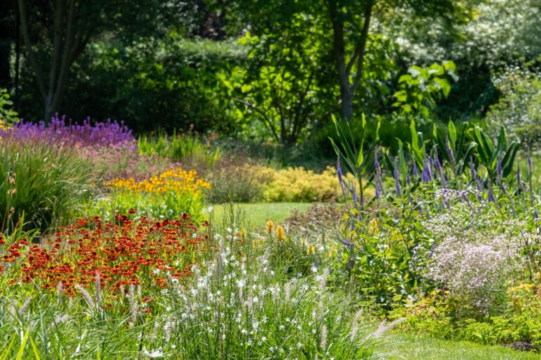 14 Natural Garden Design Tips For A Buzzing Backyard Paradise ...