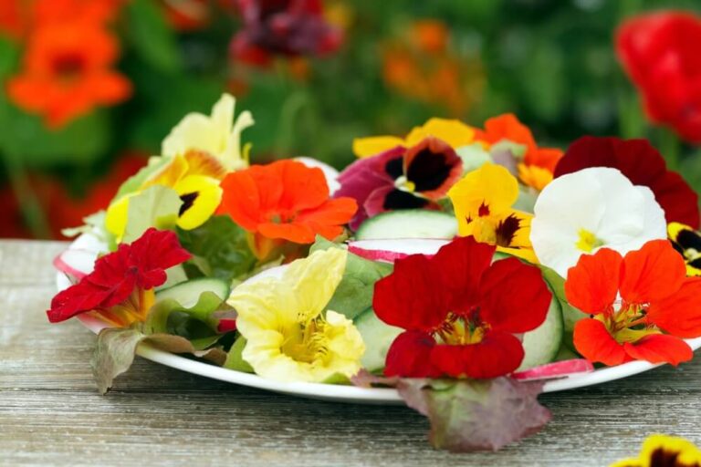 21 Delicious Edible Flowers For Growing In Your Garden - Sage ...