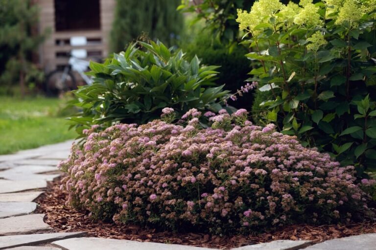 23 Jaw-Dropping Shrubs That Bloom Like Fireworks All Summer Long ...