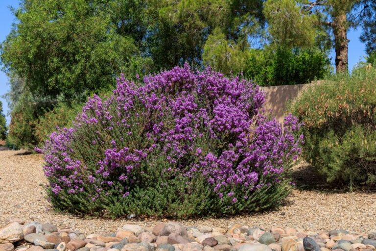 23 Jaw-Dropping Shrubs That Bloom Like Fireworks All Summer Long ...