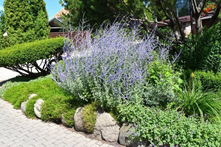 23 Jaw-Dropping Shrubs That Bloom Like Fireworks All Summer Long ...