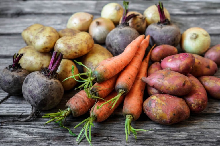 23 Best Root Crops For A Healthy And Hardy Survival Garden | Carrots ...