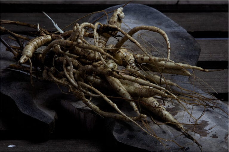23 Best Root Crops For A Healthy And Hardy Survival Garden | Carrots ...