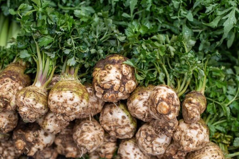 23 Best Root Crops For A Healthy And Hardy Survival Garden | Carrots ...